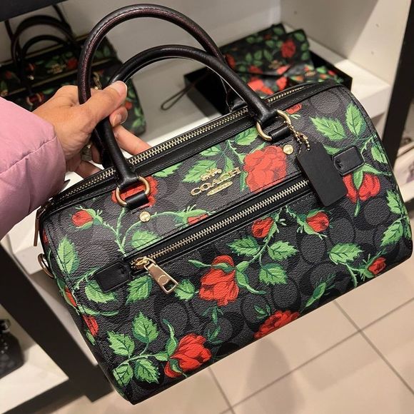 Coach | Bags | Coach Purse Rowan Satchel Signature Canvas Fairytale ...